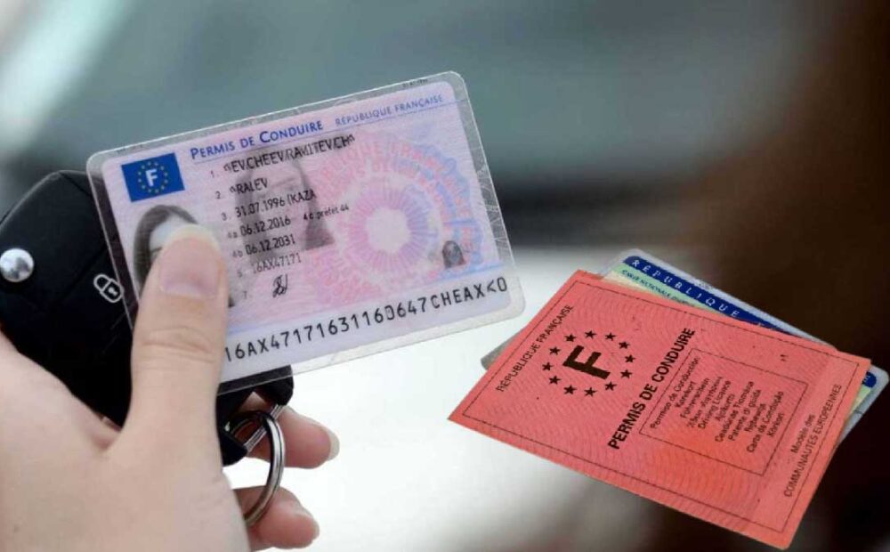 French Drivers License – Legal Official Docs